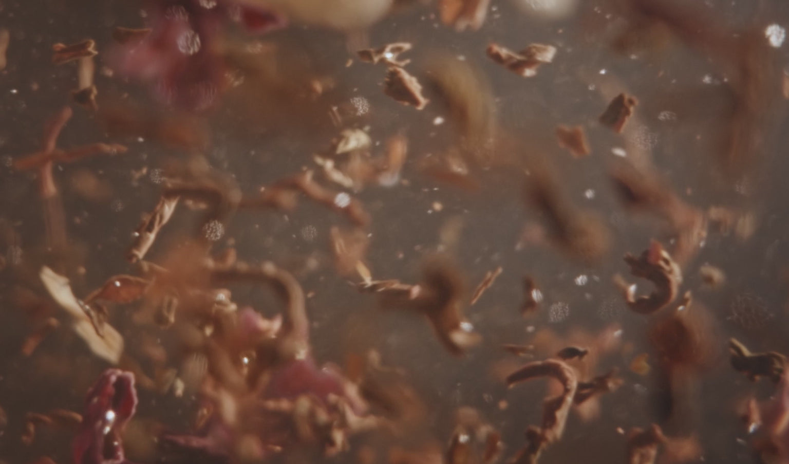 T2 Tea: Discover a World of Tea Done Differently